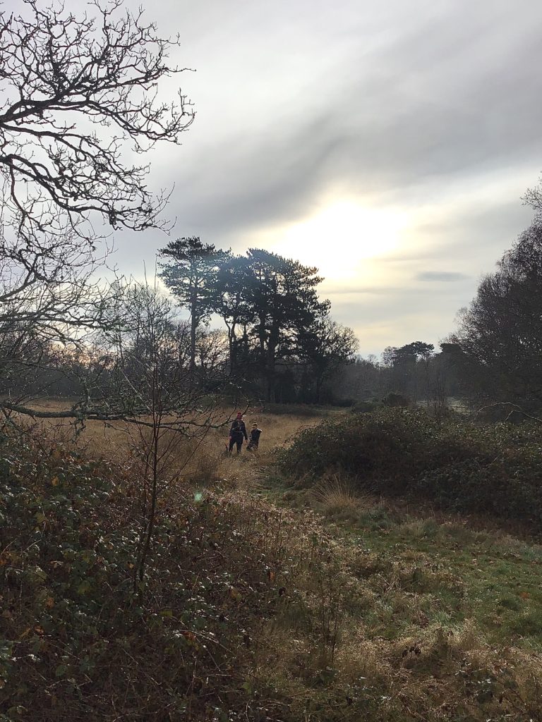 The jewel in Petersfield’s crown - CPRE Hampshire