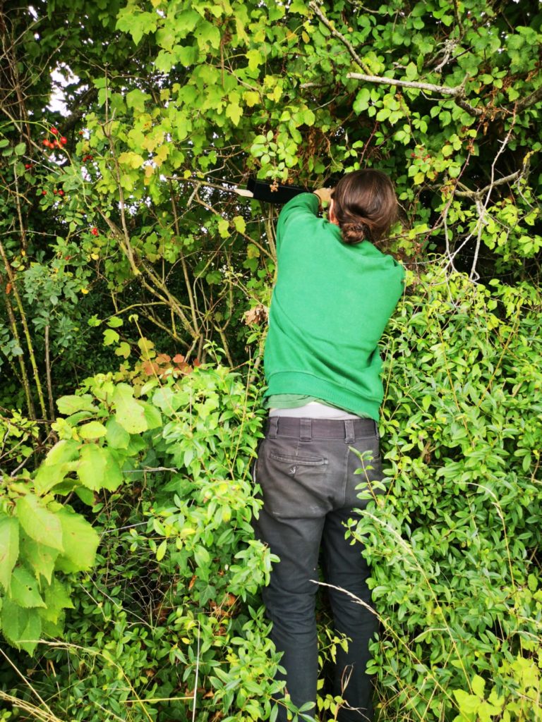 Hedgerows - CPRE Hampshire