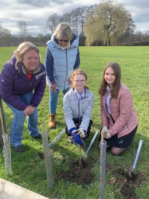 Community Hedge Fund: Burgate School & Fordingbridge Town Council ...