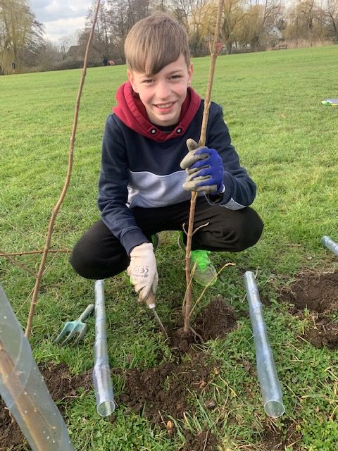 Community Hedge Fund: Burgate School & Fordingbridge Town Council ...