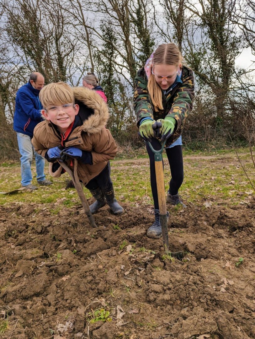 Project update from Hedgerow Officer, Ellie Banks - CPRE Hampshire