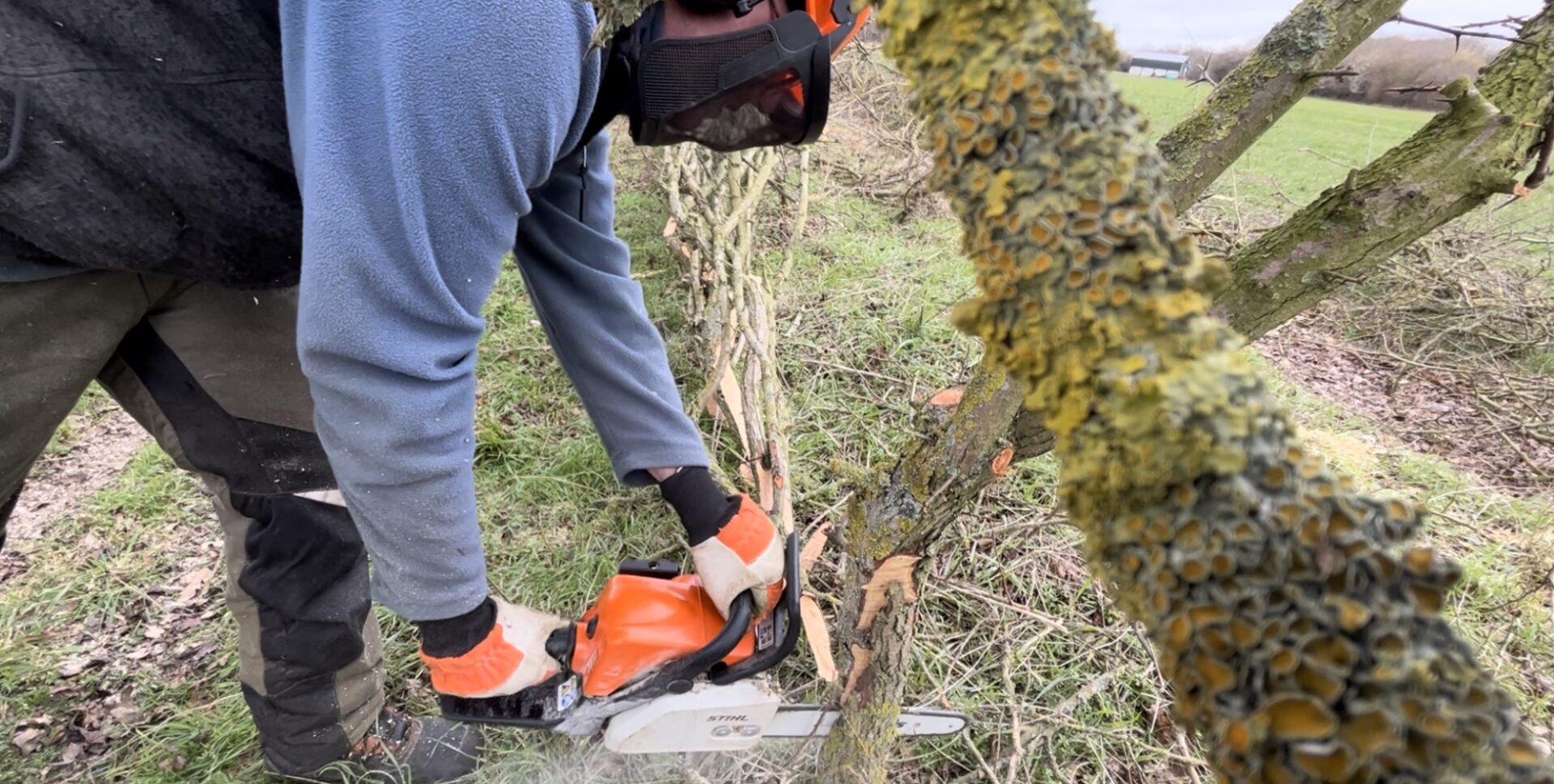 Hedge laying traineeships - CPRE Hampshire