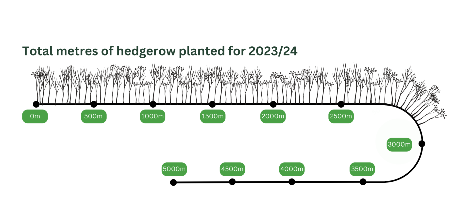 Hedgerows - CPRE Hampshire