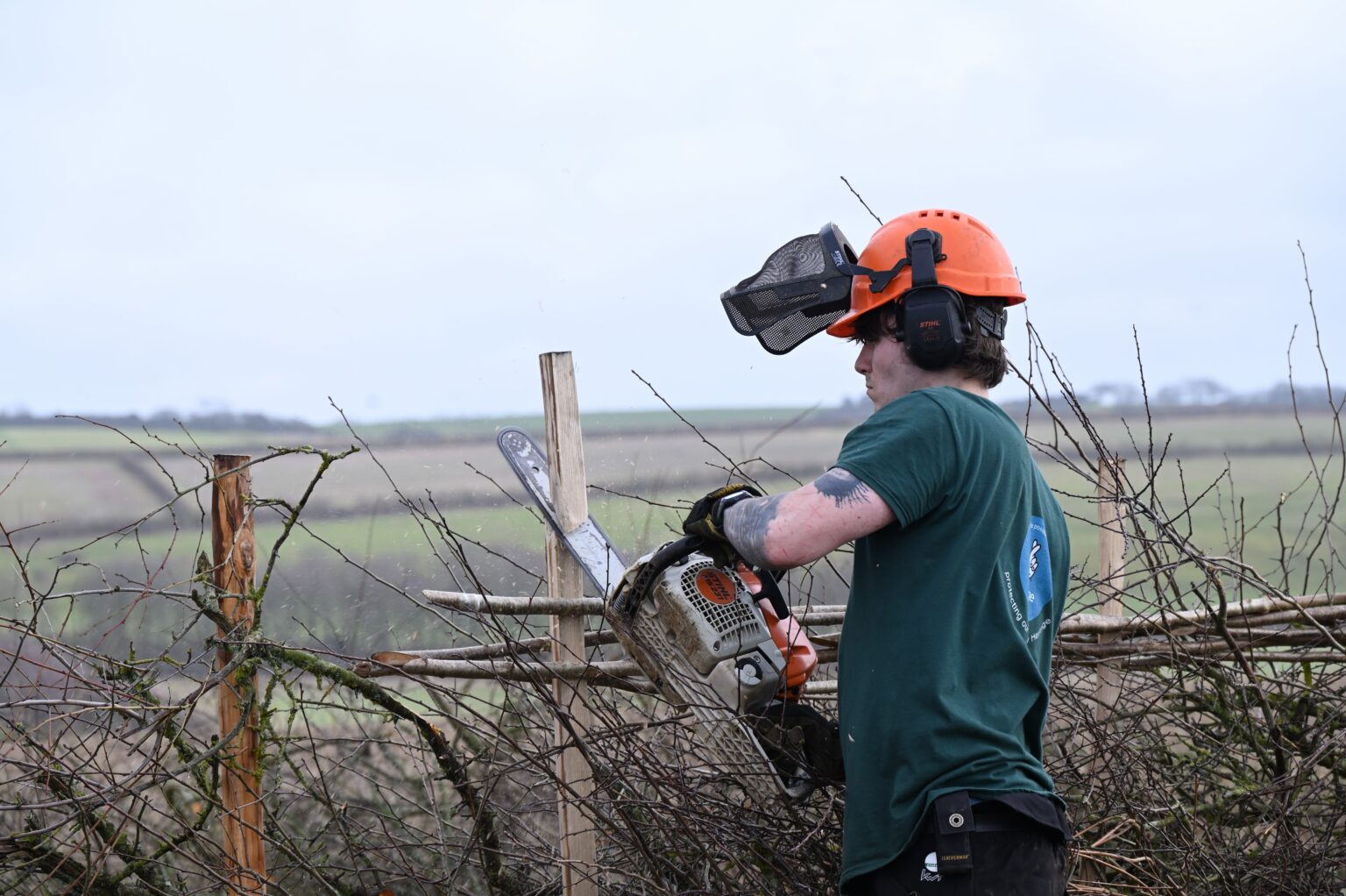 Hedge Laying Traineeship Programme - CPRE Hampshire